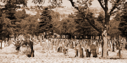 Episode 399: Until Dead - Ghoulish Delights